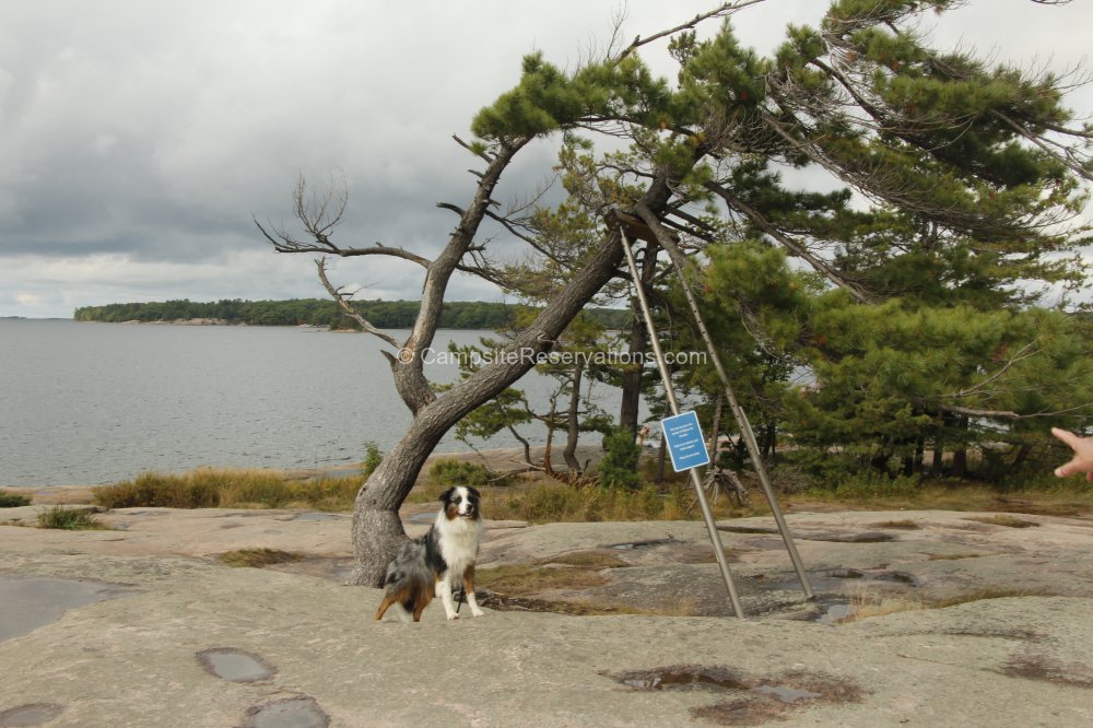 Kilcoursie Bay Campground at Killbear Provincial Park, Ontario, Canada