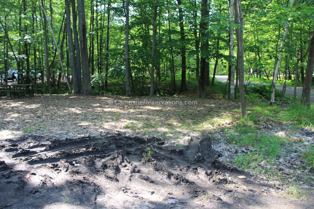 Photo of Campsite 1430 in Lighthouse Point Campground at Killbear ...