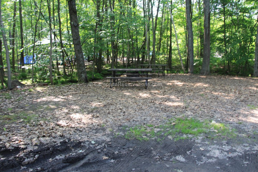 Photo of Campsite 1430 in Lighthouse Point Campground at Killbear ...