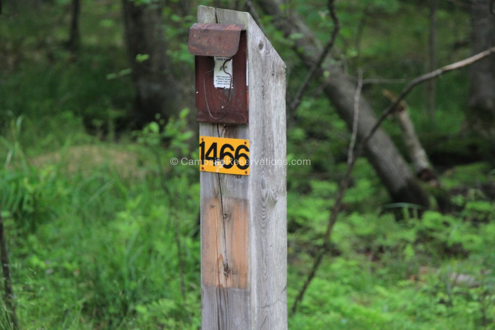 Photo of Campsite 1466 in Lighthouse Point Campground at Killbear ...
