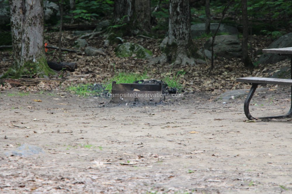Campsite 1488 in Lighthouse Point Campground at Killbear Provincial ...