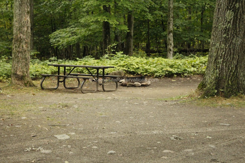 Photo of Campsite 234 in Beaver Dams Campground at Killbear Provincial ...