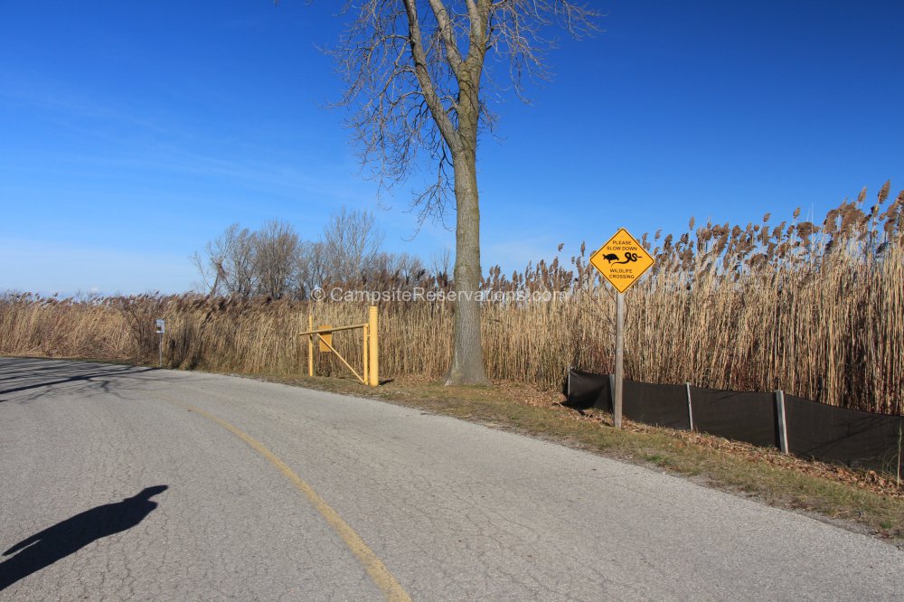 Photo of Long Point Provincial Park, Ontario, Canada