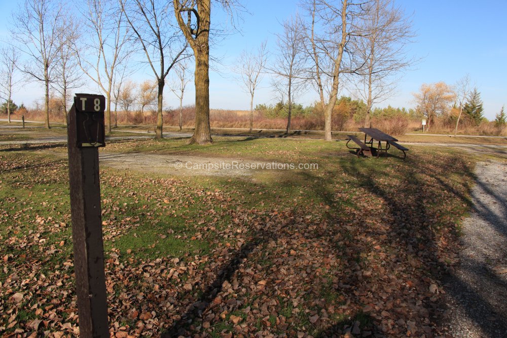Photo of Campsite 08 in Firefly Campground at Long Point Provincial ...