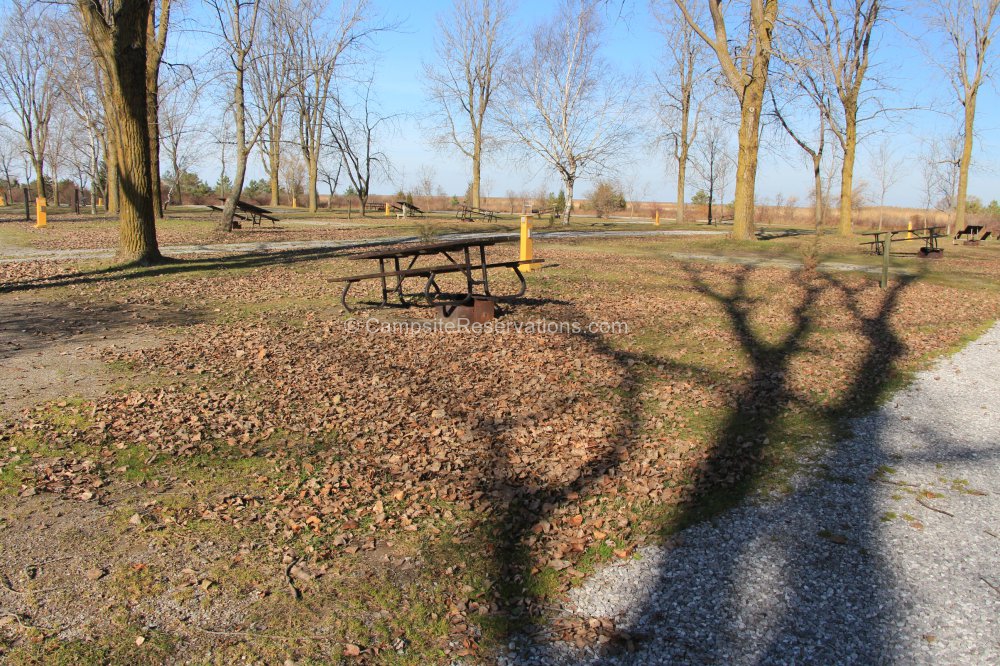 Campsite 10 in Firefly Campground at Long Point Provincial Park ...