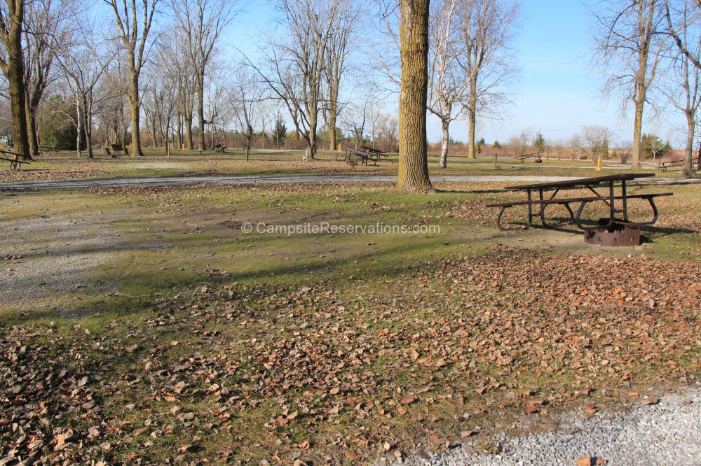 Photo of Campsite 12 in Firefly Campground at Long Point Provincial ...