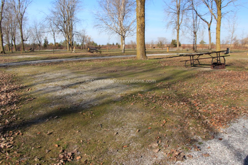 Photo of Campsite 12 in Firefly Campground at Long Point Provincial ...