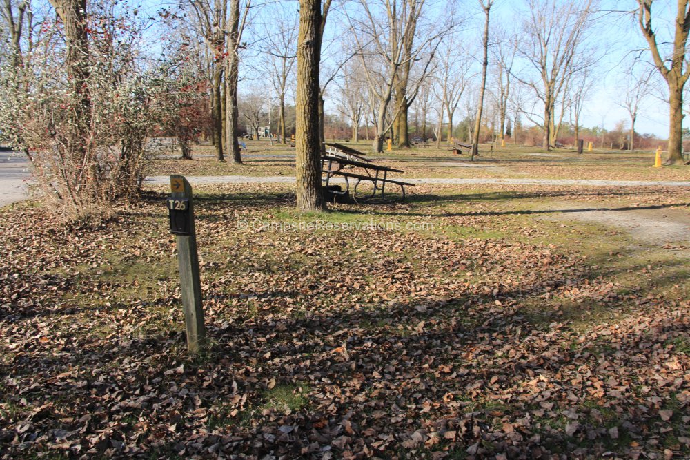 Photo of Campsite 26 in Firefly Campground at Long Point Provincial ...