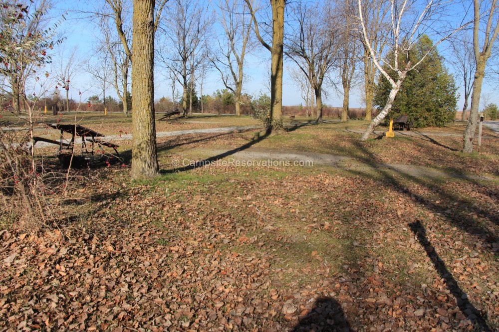 Photo of Campsite 26 in Firefly Campground at Long Point Provincial ...