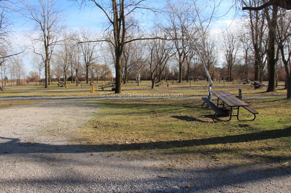 Photo of Campsite 29 in Firefly Campground at Long Point Provincial ...