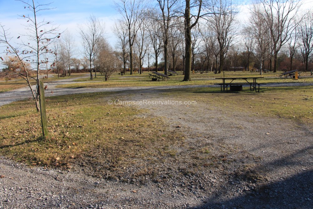 Photo of Campsite 31 in Firefly Campground at Long Point Provincial ...