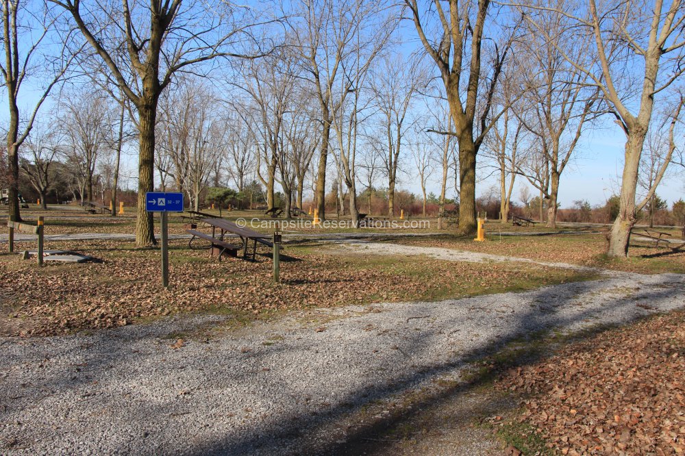 Photo of Campsite 32 in Firefly Campground at Long Point Provincial ...