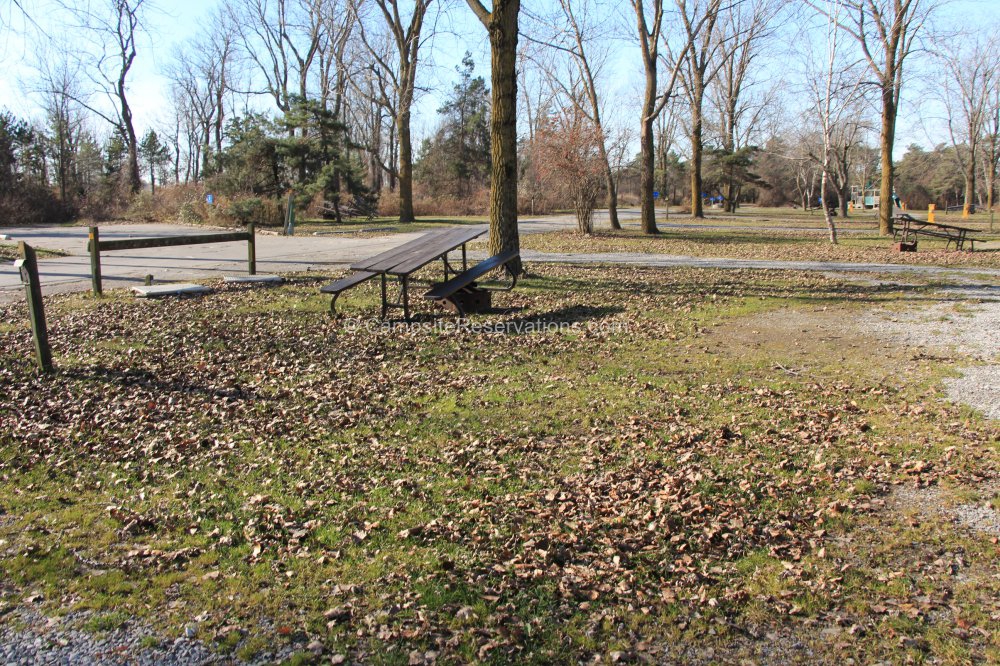 Photo of Campsite 32 in Firefly Campground at Long Point Provincial ...