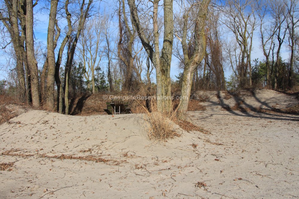 Photo of Campsite 360 in Monarch Campground at Long Point Provincial ...