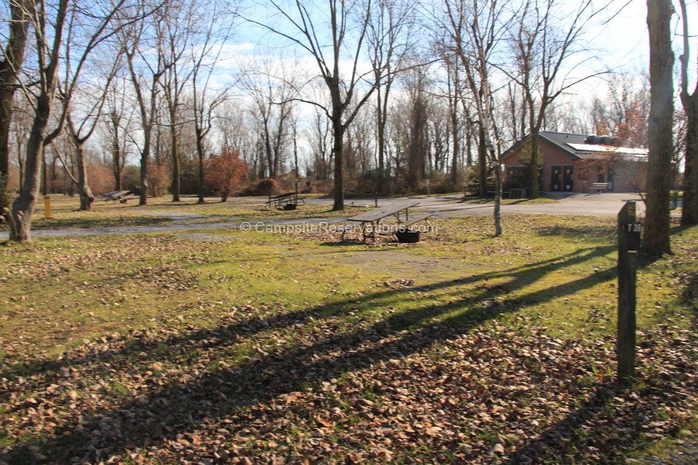 Photo of Campsite 39 in Firefly Campground at Long Point Provincial ...