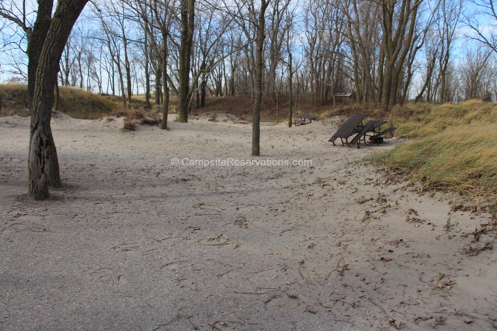 Campsite 412 in Turtle Dunes Campground at Long Point Provincial Park ...