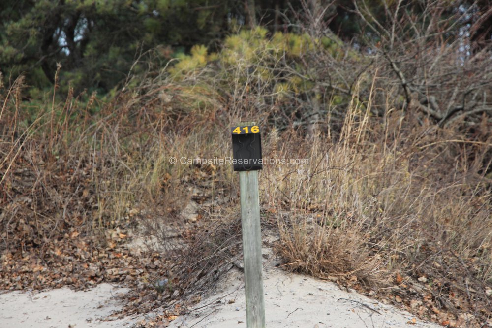 Photo of Campsite 416 in Turtle Dunes Campground at Long Point ...