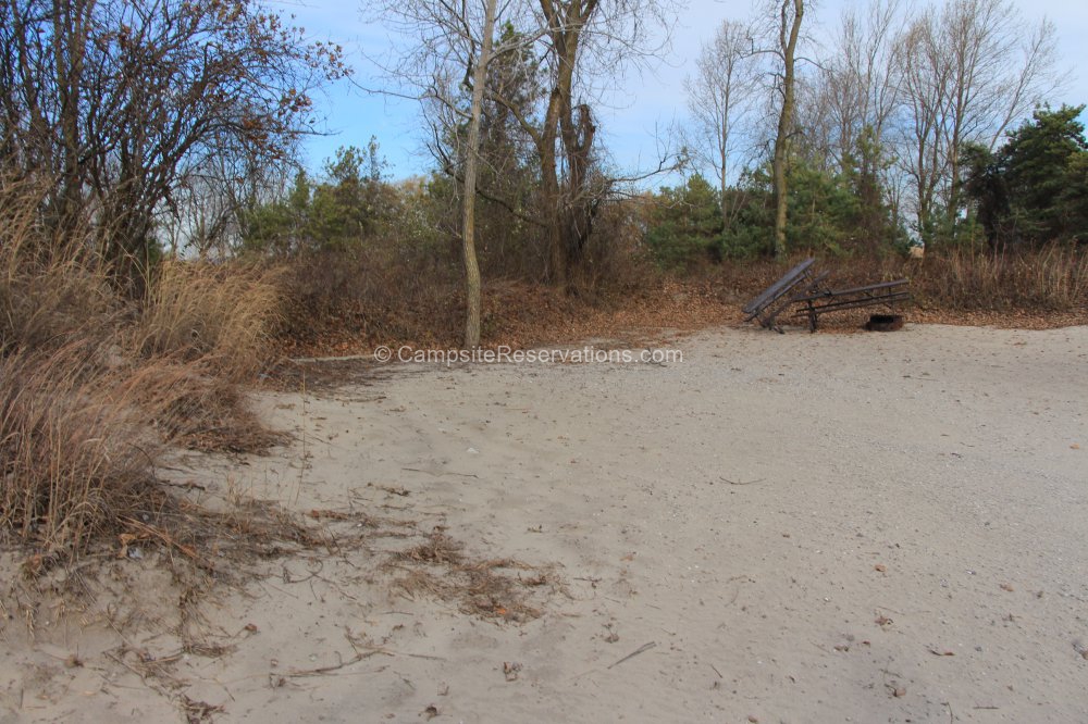 Campsite 416 in Turtle Dunes Campground at Long Point Provincial Park ...