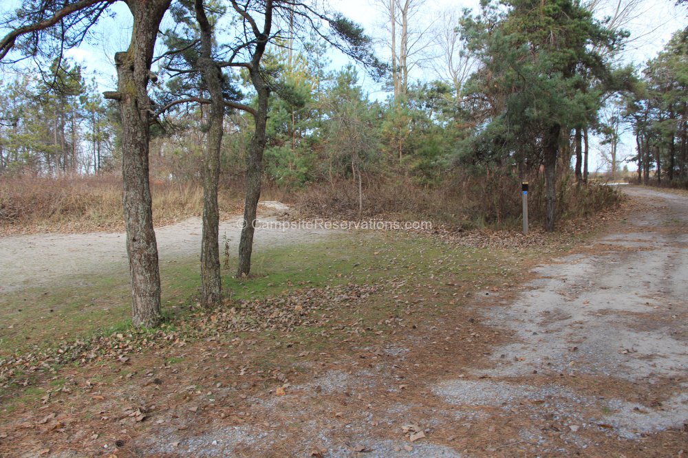Photo of Campsite 418 in Turtle Dunes Campground at Long Point ...