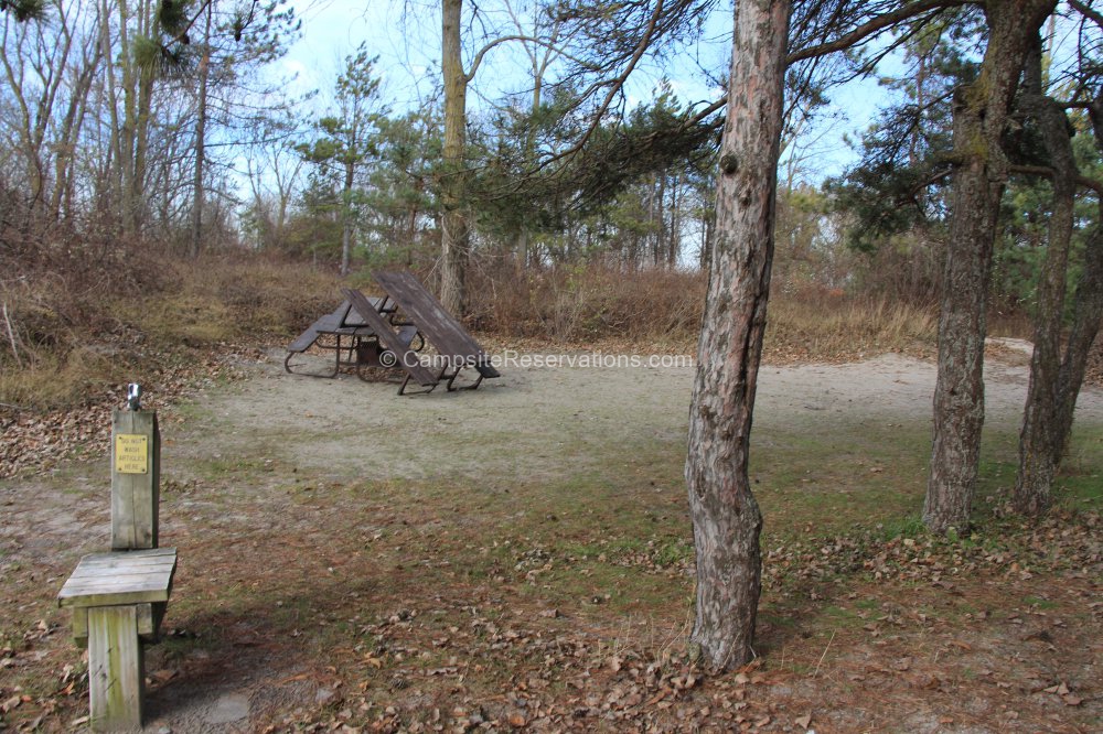 Photo of Campsite 418 in Turtle Dunes Campground at Long Point ...
