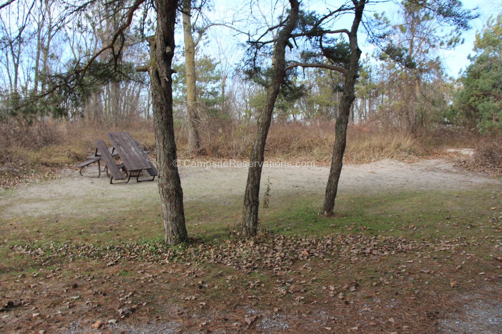 Photo of Campsite 418 in Turtle Dunes Campground at Long Point ...