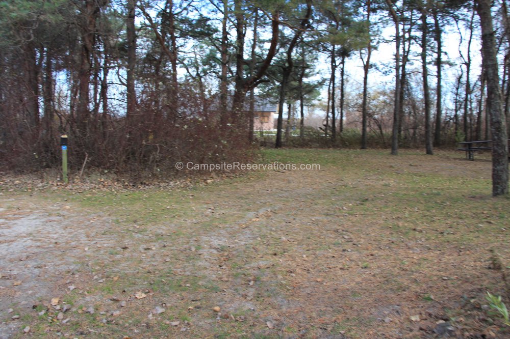 Photo of Campsite 419 in Turtle Dunes Campground at Long Point ...