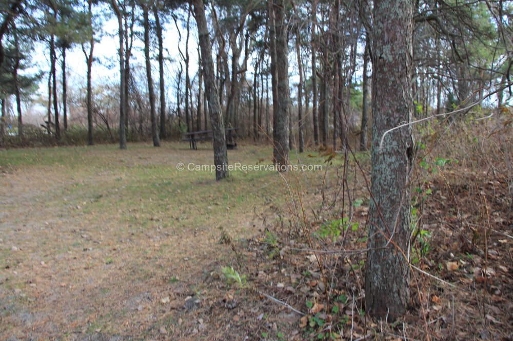 Photo of Campsite 419 in Turtle Dunes Campground at Long Point ...