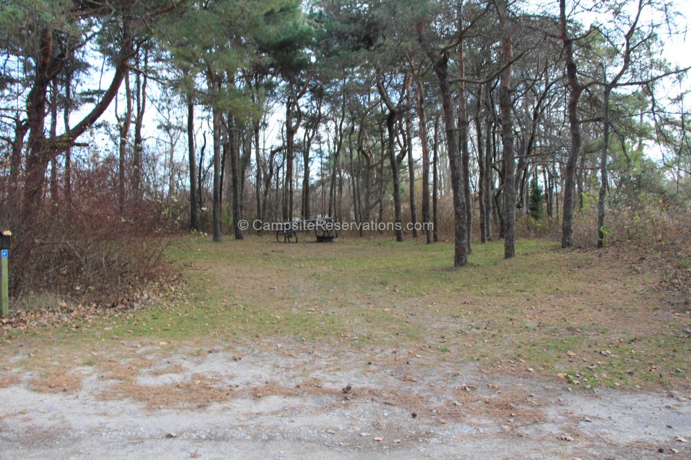 Photo of Campsite 419 in Turtle Dunes Campground at Long Point ...
