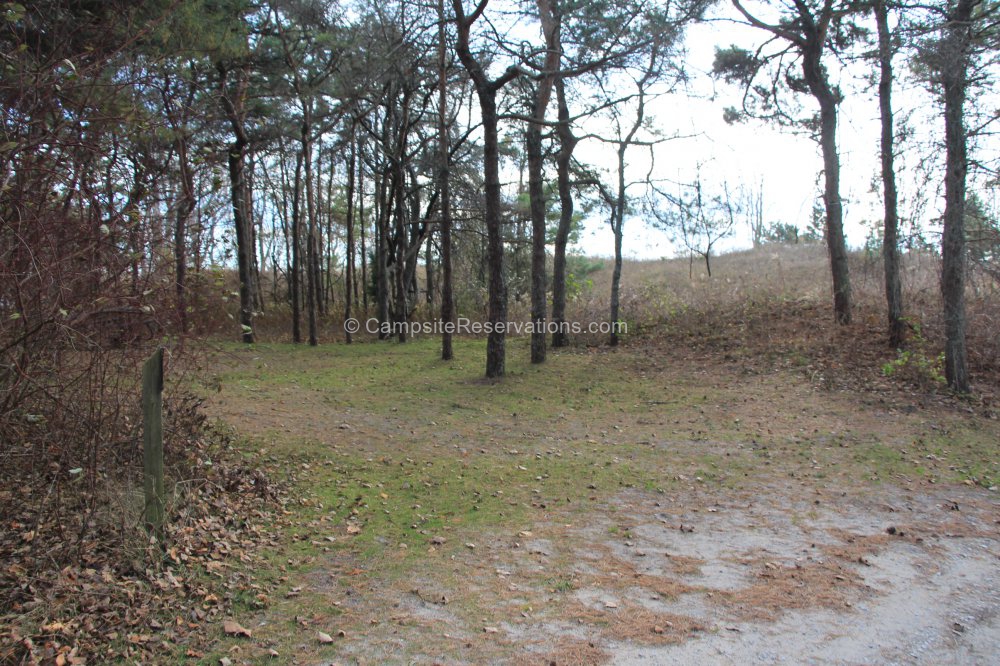 Photo of Campsite 419 in Turtle Dunes Campground at Long Point ...
