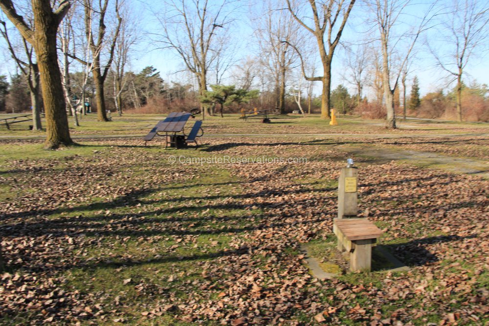 Photo of Campsite 42 in Firefly Campground at Long Point Provincial ...
