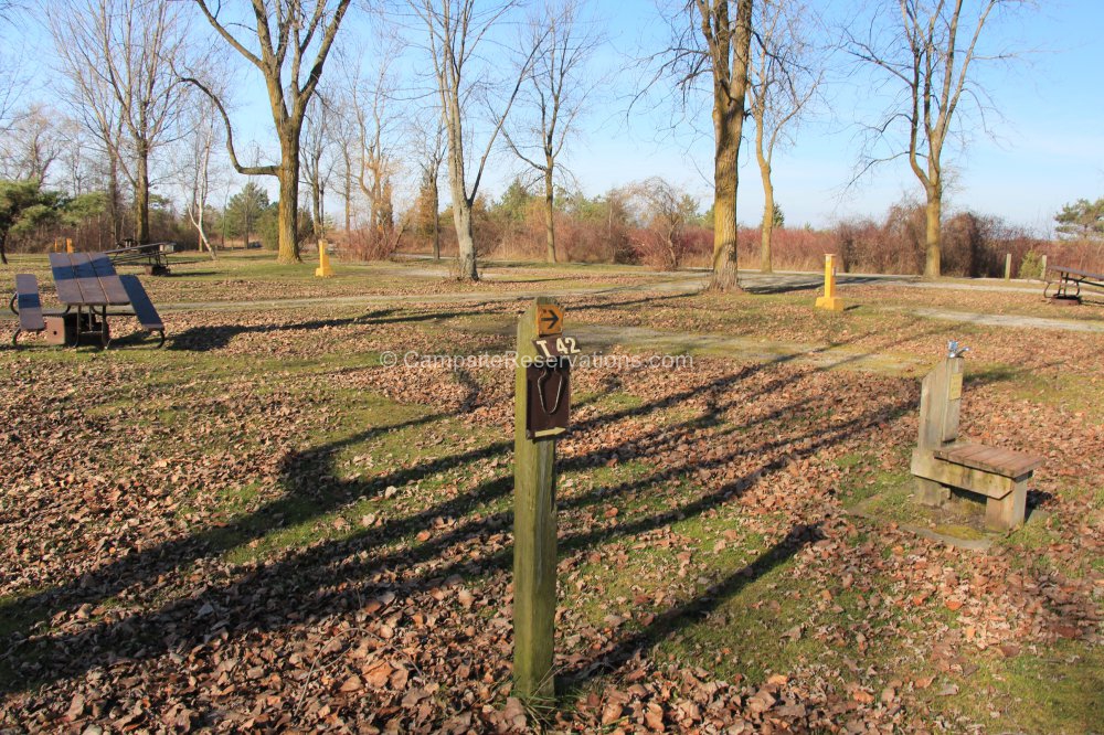 Photo of Campsite 42 in Firefly Campground at Long Point Provincial ...