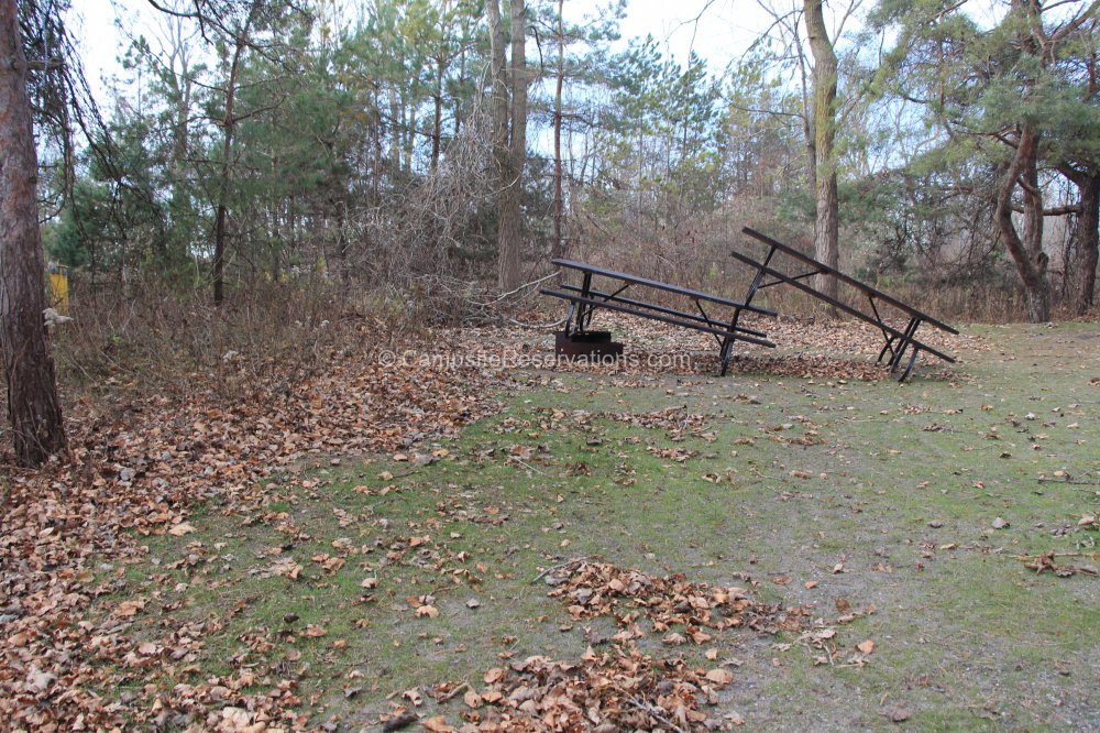 Photo of Campsite 420 in Turtle Dunes Campground at Long Point ...