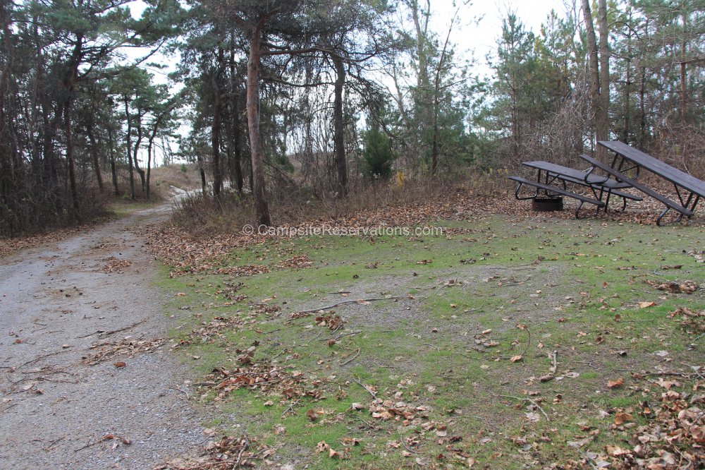 Photo of Campsite 420 in Turtle Dunes Campground at Long Point ...