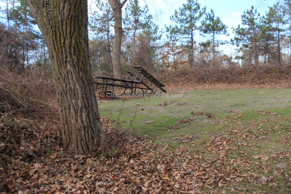 Photo of Campsite 422 in Turtle Dunes Campground at Long Point ...