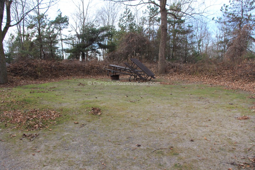 Photo of Campsite 422 in Turtle Dunes Campground at Long Point ...