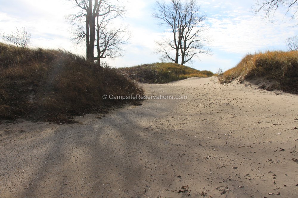 Photo of Campsite 439 in Turtle Dunes Campground at Long Point ...