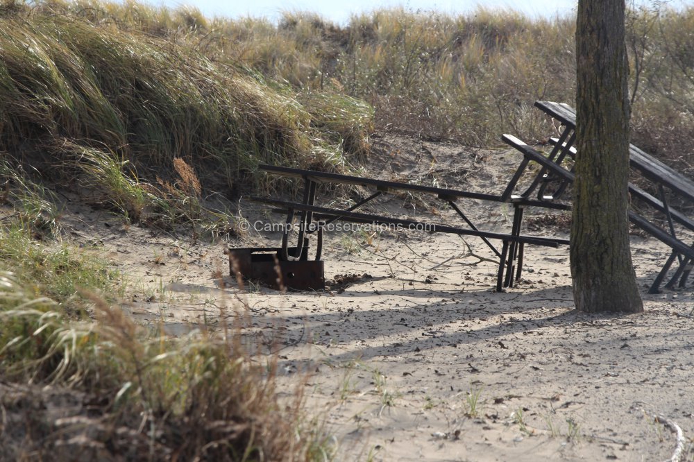 Photo of Campsite 439 in Turtle Dunes Campground at Long Point ...