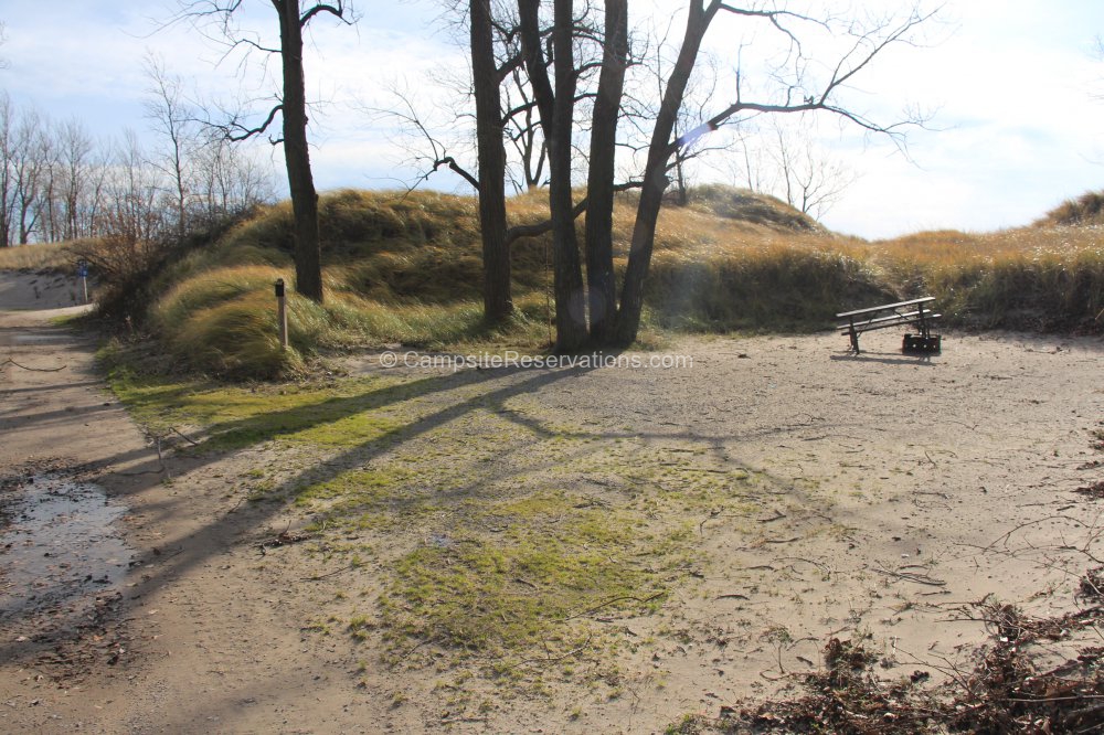 Photo of Campsite 442 in Turtle Dunes Campground at Long Point ...