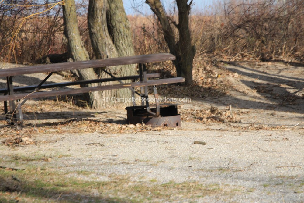 Campsite 446 in Turtle Dunes Campground at Long Point Provincial Park ...
