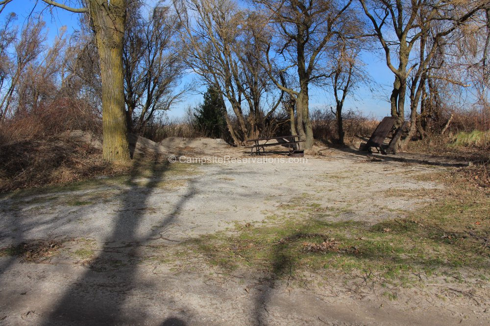 Campsite 446 in Turtle Dunes Campground at Long Point Provincial Park ...