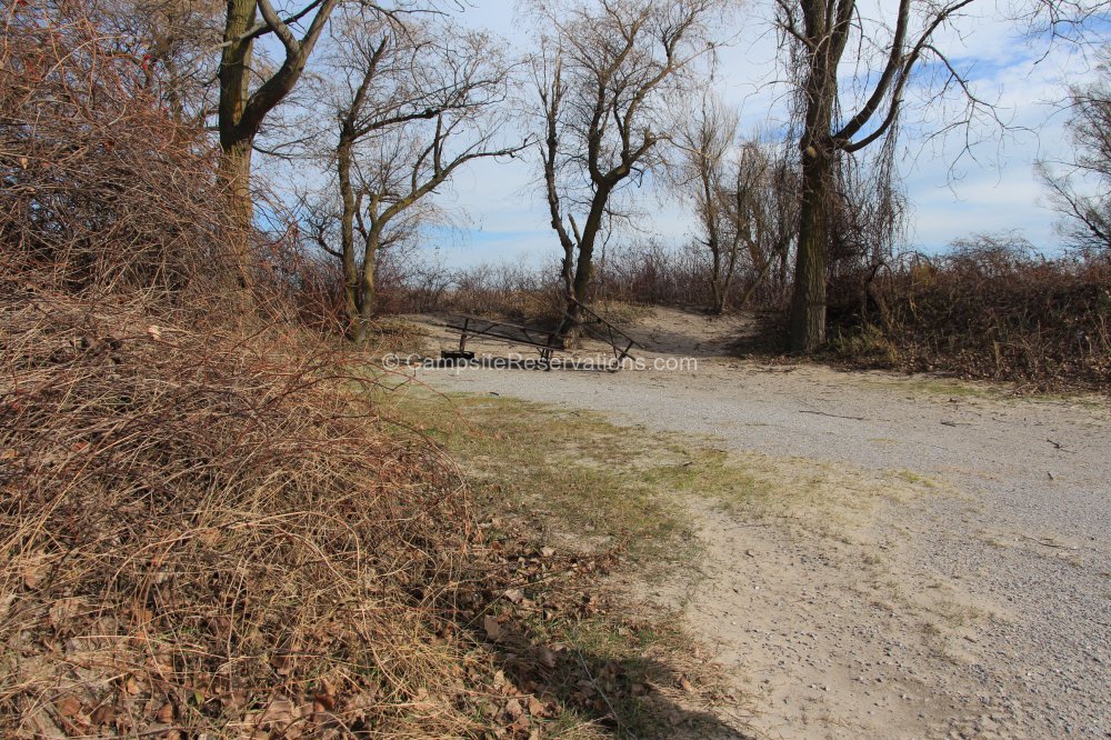 Photo of Campsite 448 in Turtle Dunes Campground at Long Point ...