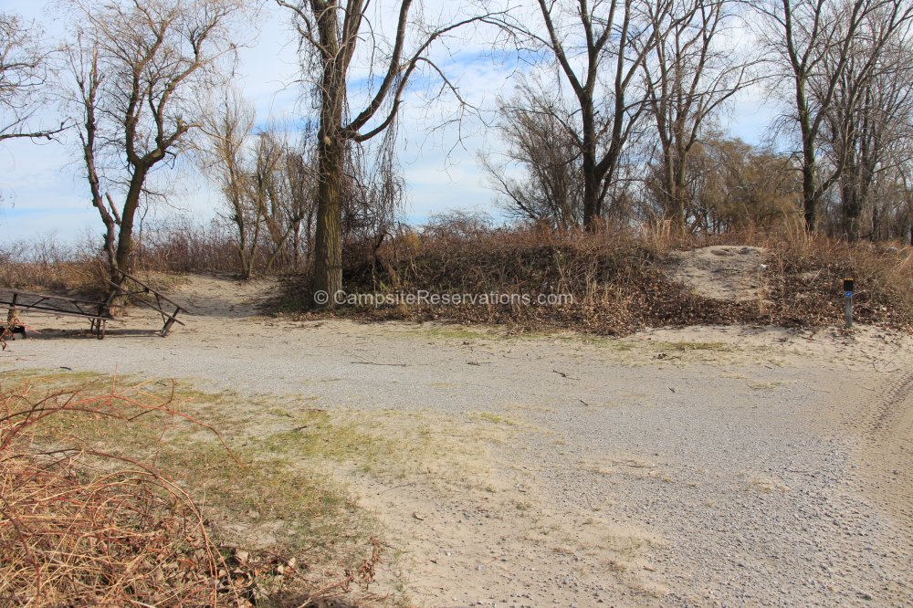 Photo of Campsite 448 in Turtle Dunes Campground at Long Point ...
