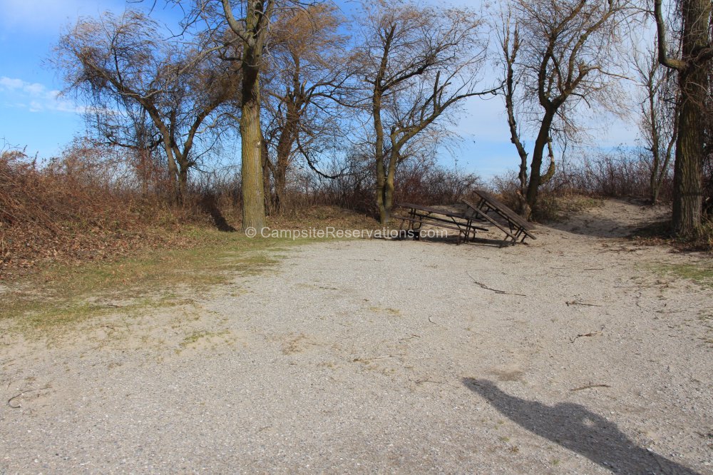Photo of Campsite 448 in Turtle Dunes Campground at Long Point ...