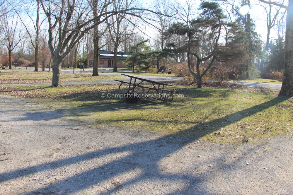 Photo of Campsite 45 in Firefly Campground at Long Point Provincial ...
