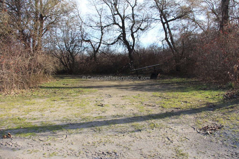 Photo of Campsite 452 in Turtle Dunes Campground at Long Point ...
