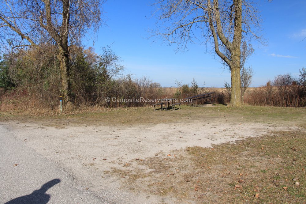 Photo of Campsite 458 in Turtle Dunes Campground at Long Point ...