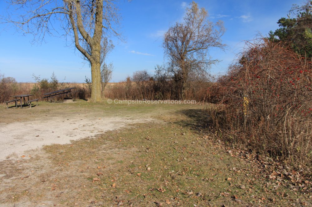 Campsite 458 in Turtle Dunes Campground at Long Point Provincial Park ...