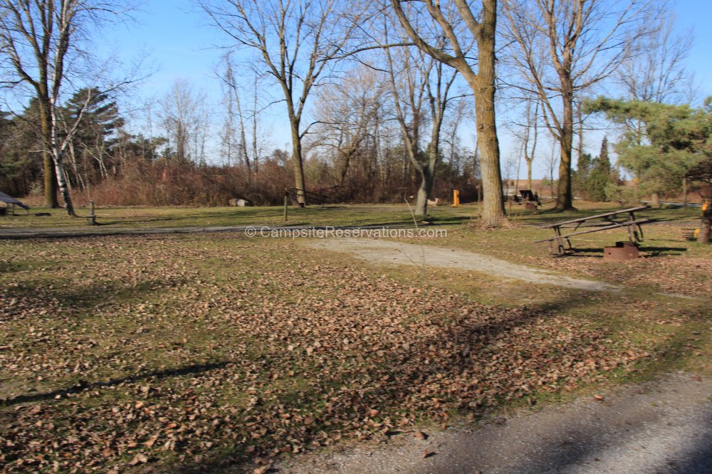 Photo of Campsite 48 in Firefly Campground at Long Point Provincial ...