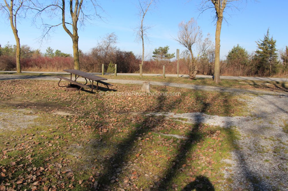 Photo of Campsite 54 in Firefly Campground at Long Point Provincial ...