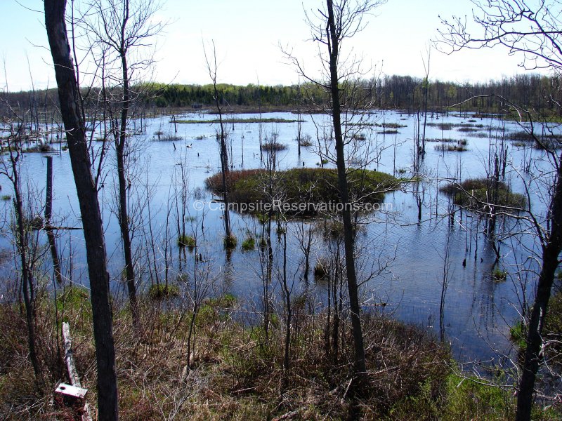 MacGregor Point Provincial Park, Ontario, Canada